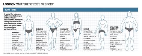 London 2012 The Science Of Sport Body Types 1 Graphic By Trish