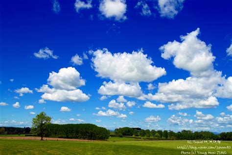 뉴질랜드여행 뉴질랜드의 뜻을 알고 계신가요 길고 흰 구름의 나라 뉴질랜드 네이버 블로그