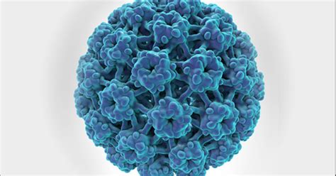 HPV And Cancer National Cancer Institute