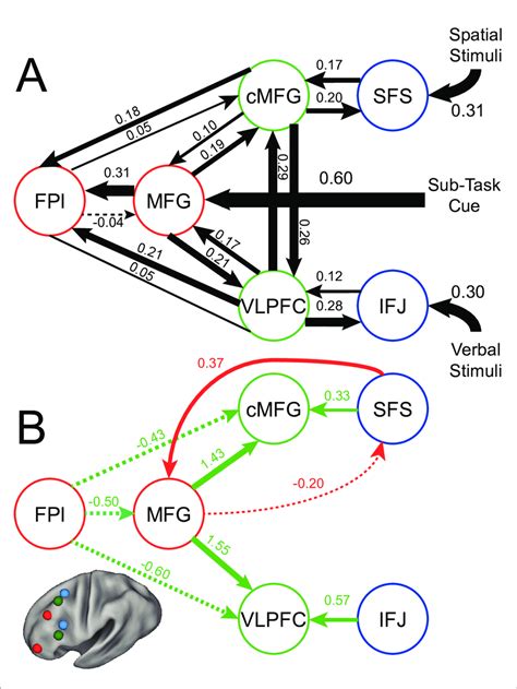 Revised Lpfc Dynamic Causal Model Bayesian Model Selection Indicated