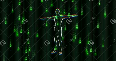 Image Of Green Binary Coding Data Processing Over Human Body Spinning On Black Background Stock
