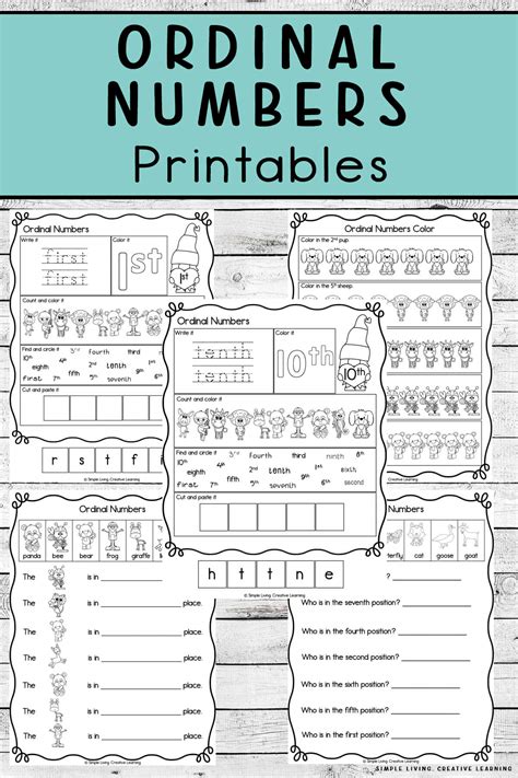 Ordinal Numbers Worksheet 1 To 20 Ordinal Numbers Number Worksheets