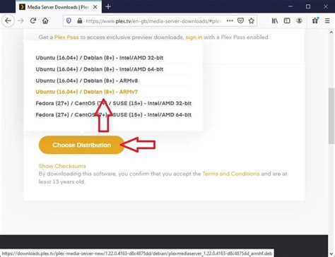 Create A Plex Media Server Raspberry Pi Scubahaq
