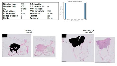 Not All Tiles Extracted With Normalization Options Enabled · Issue 222 · Slideflowslideflow