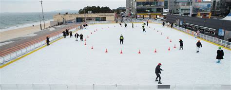 보령시 스케이트 테마파크장 낭만과 추억 가득 투데이충남