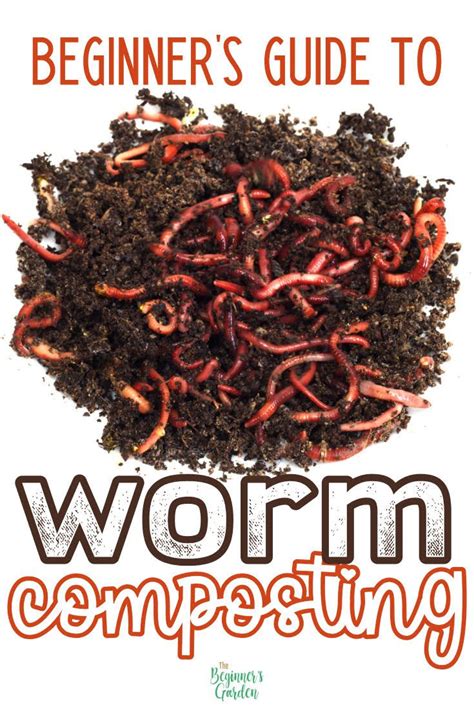 Worm Composting A Step By Step Guide For Beginners Artofit