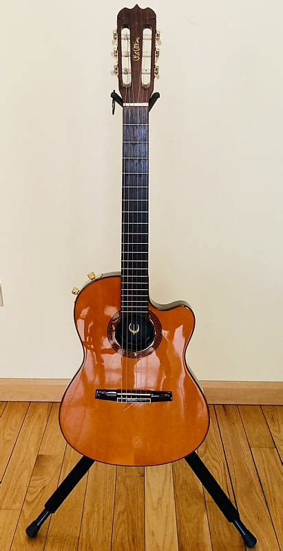 Epiphone Chet Atkins Cec Signature Nylon String Acoustic Reverb
