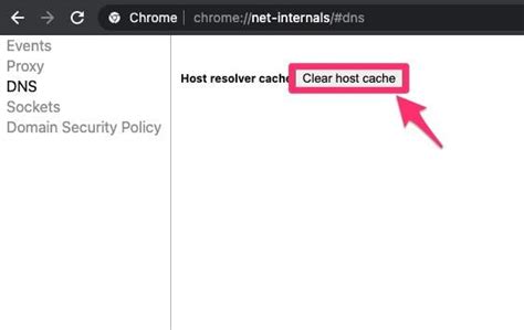 How To Clear The Local DNS Cache In Mac OS Knowledge Base ScalaHosting