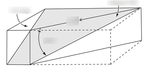 Chapter Diagram Quizlet