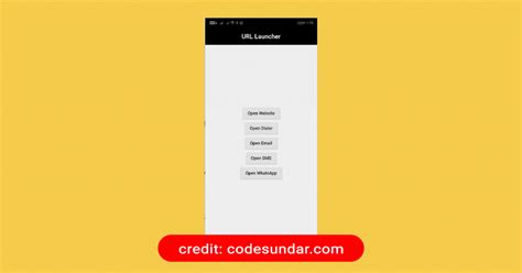 Open Dialer Sms Website Whatsapp Using Flutter Url Launcher