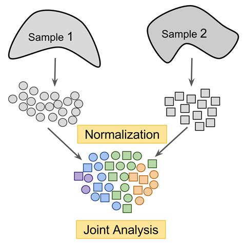 14 Comparing And Combining Scrna Seq Datasets Analysis Of Single Cell