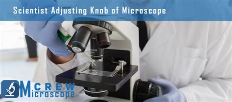 How To Set Up A Microscope Microscope Crew