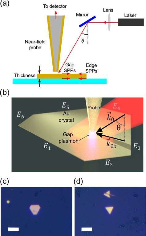 Figure 1 From Anisotropic Generation And Detection Of Surface Plasmon Polaritons Using Near