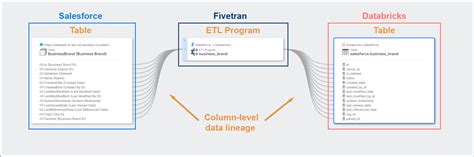databricks unity catalog automatic data lineage dataedo documentation