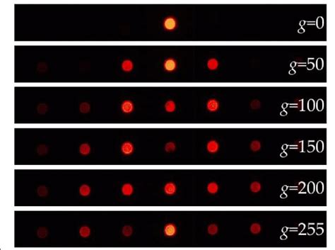 Experimental Diffraction Patterns Captured For Binary Phase Diffraction