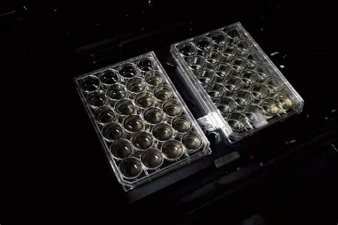 2000亿贴息贷款推荐设备，新芝微生物生长曲线分析仪—生物器材网