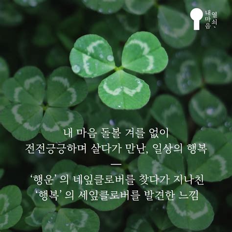 마인드프리즘 내마음열쇠 딸깍 동생a님이 마음을 만난 순간 를 만나기 전까지