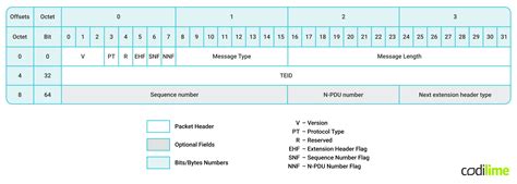 Developing Custom Network Functionality Using Sonic Codilime