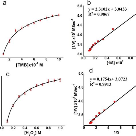 Steady State Kinetic Analysis Using The Michaelis‐menten Model A C Download Scientific