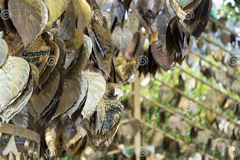 Golden Hearts Written With Wishes Hang On The Tree In Wat Saket