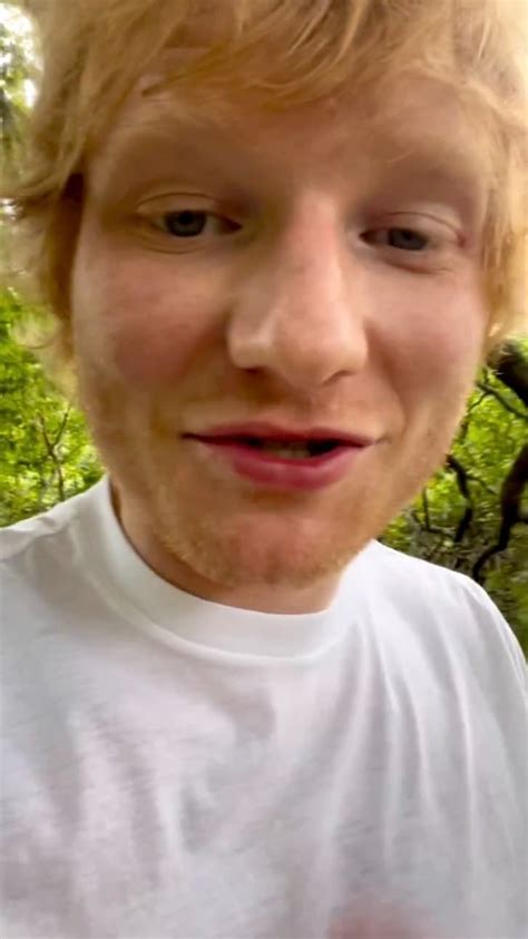 Ed Sheeran Posts Odd Video As A Teenage Mutant Ninja Turtle After