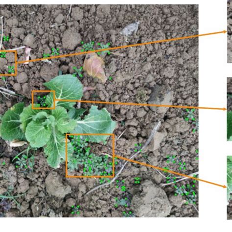 Partial Example Pictures During The Detection Process A Small Targets Download Scientific