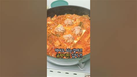 김치에 핀 곰팡이 먹어도될까 본문내용 꼭 확인하세요 Youtube