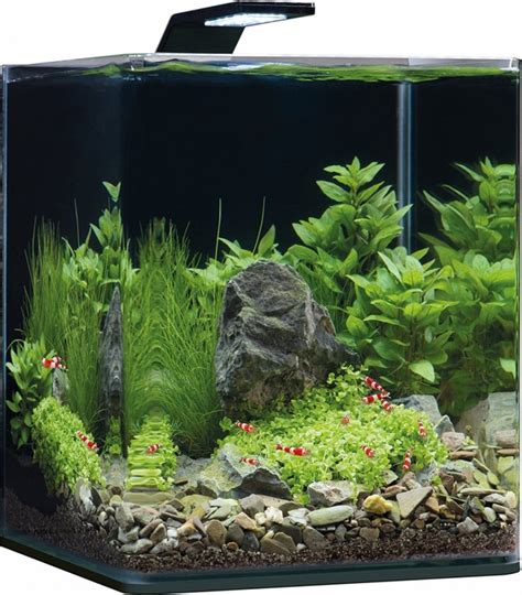 Aquarium Dennerle - selbstreinigendes aquarium
