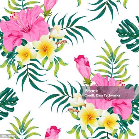 분홍색 히비스커스와 플루메리아 꽃 녹색 야자수 잎과 몬스타 잎이 흰색 배경에 있는 열대 원활한 패턴 이국적인 벽지 0명에 대한 스톡 벡터 아트 및 기타 이미지 Istock