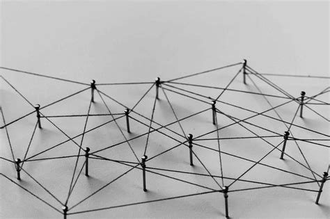 Contact Us Dynamic Fieldwork