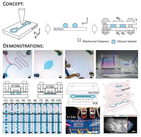 Science Magazine Sutd Researchers Develop A Rapid Low Cost Method To