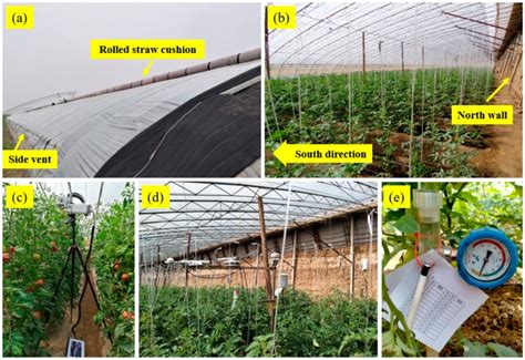 Mdpi Horticulturae On Linkedin Horticulturae Specialissue Controlled Environment Horticulture