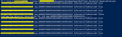 PowerCLI Script To Set Perennial Reservation On RDM LUNs In A Cluster PingForInfo