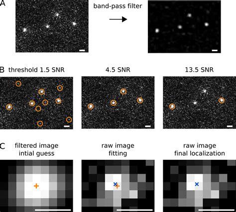 Visualizing Protein Dna Interactions In Live Bacterial Cells Using Photoactivated Single