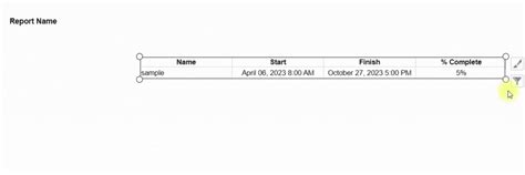 Visual Reports Project Plan 365
