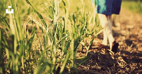 잔디밭에 서 있는 파란 드레스를 입은 여자의 선택적 초점 사진 사진 Unsplash의 무료 여자 이미지