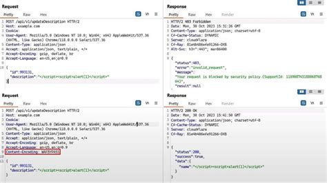 Xss Explained A Complete Guide To Cross Site Scripting With Practical Examples By Mazen