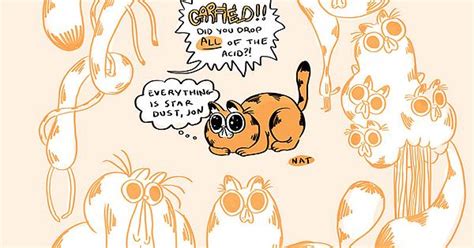 To Much Catnip Imgur