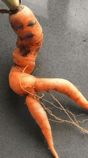 How To Check For Chemistry With New Sex Partners The Open Lifestyle Guide