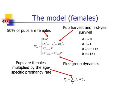 Ppt Age Structured Models Continued Powerpoint Presentation Free Download Id4647151