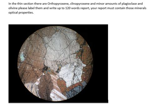 Solved In The Thin Section There Are Orthopyroxene