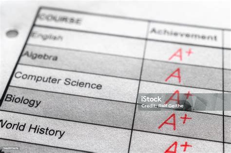 Excerpt From A School Report With Very Good Grades In English Language