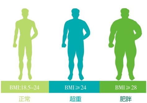 史上最全自测体脂方法，你敢在线测体脂吗？身体