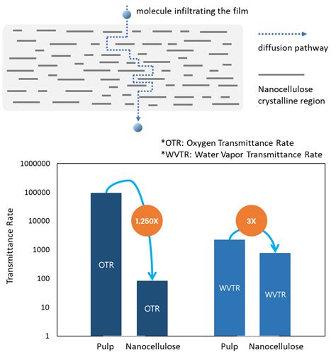 나노셀룰로오스 Anpoly