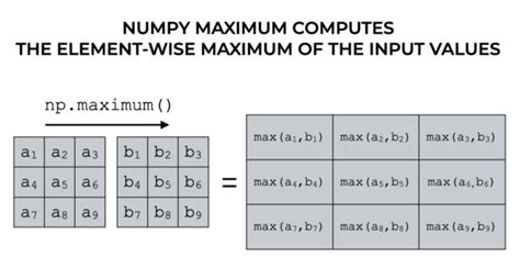 How To Use The Numpy Maximum Function Sharp Sight