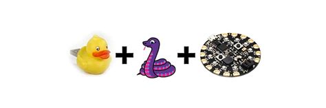 A Hacker Rubber Ducky Payload Injector With Circuitpython