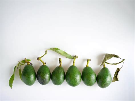 Premium Photo Closeup Fresh Six 6 Avocados In Row With White Background
