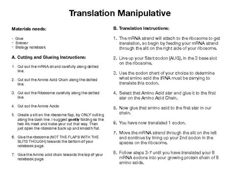Mrna Translation Interactive Manipulative By Teacherzilla Tpt