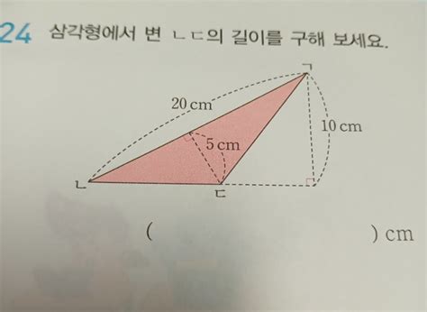 초5 수학삼각형 넓이둘레 지식in