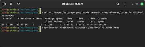 Run Kubernetes Locally Install Minikube On Ubuntu